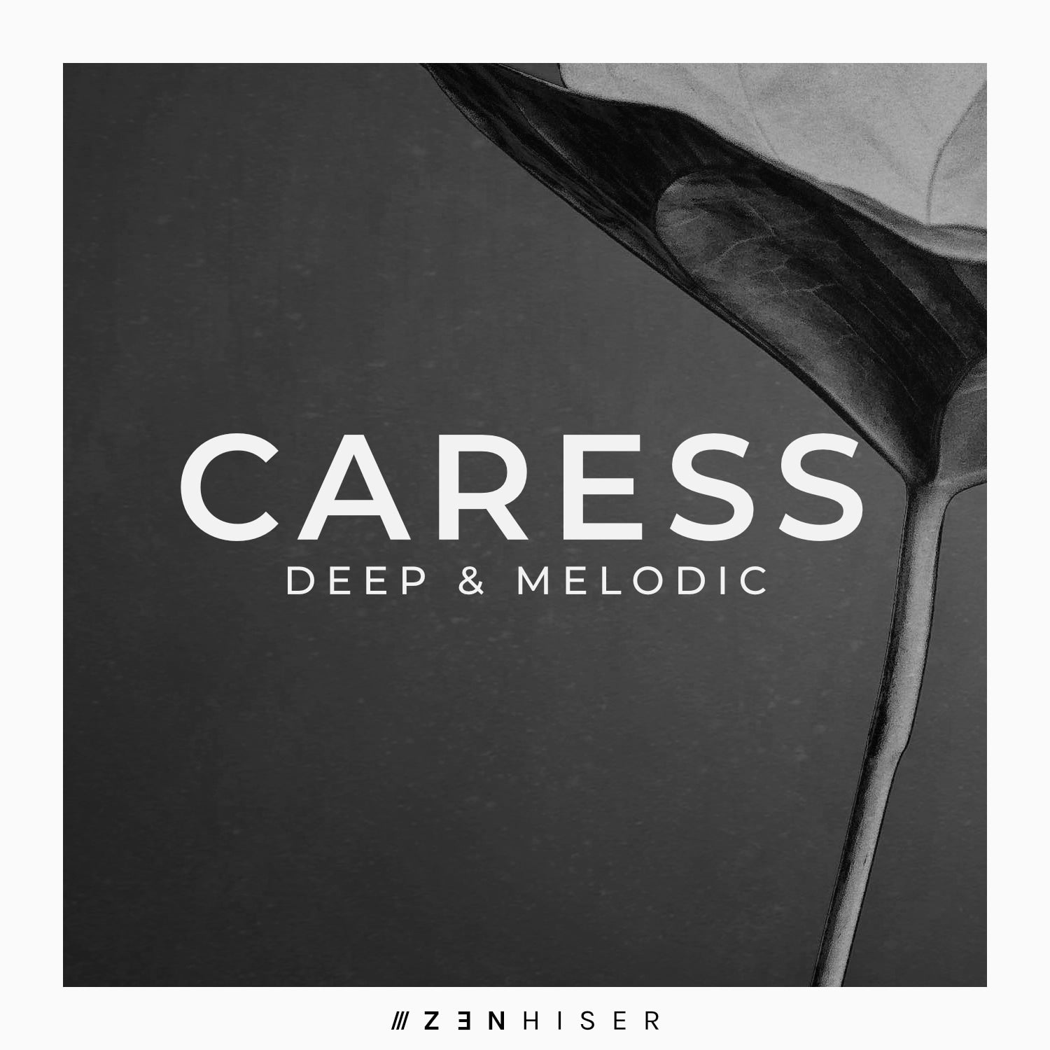 Caress - Deep & Melodic | MUST HAVE for Deep & Prog House Producers ...
